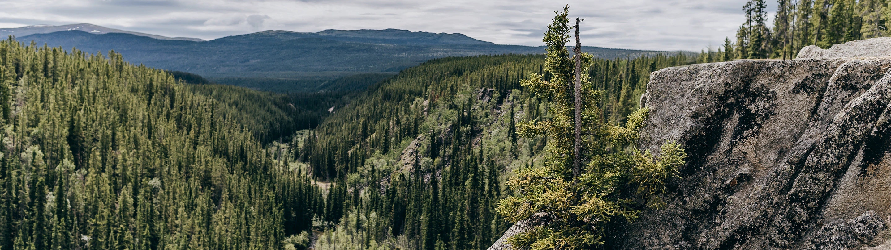 Company profile | Schöffel